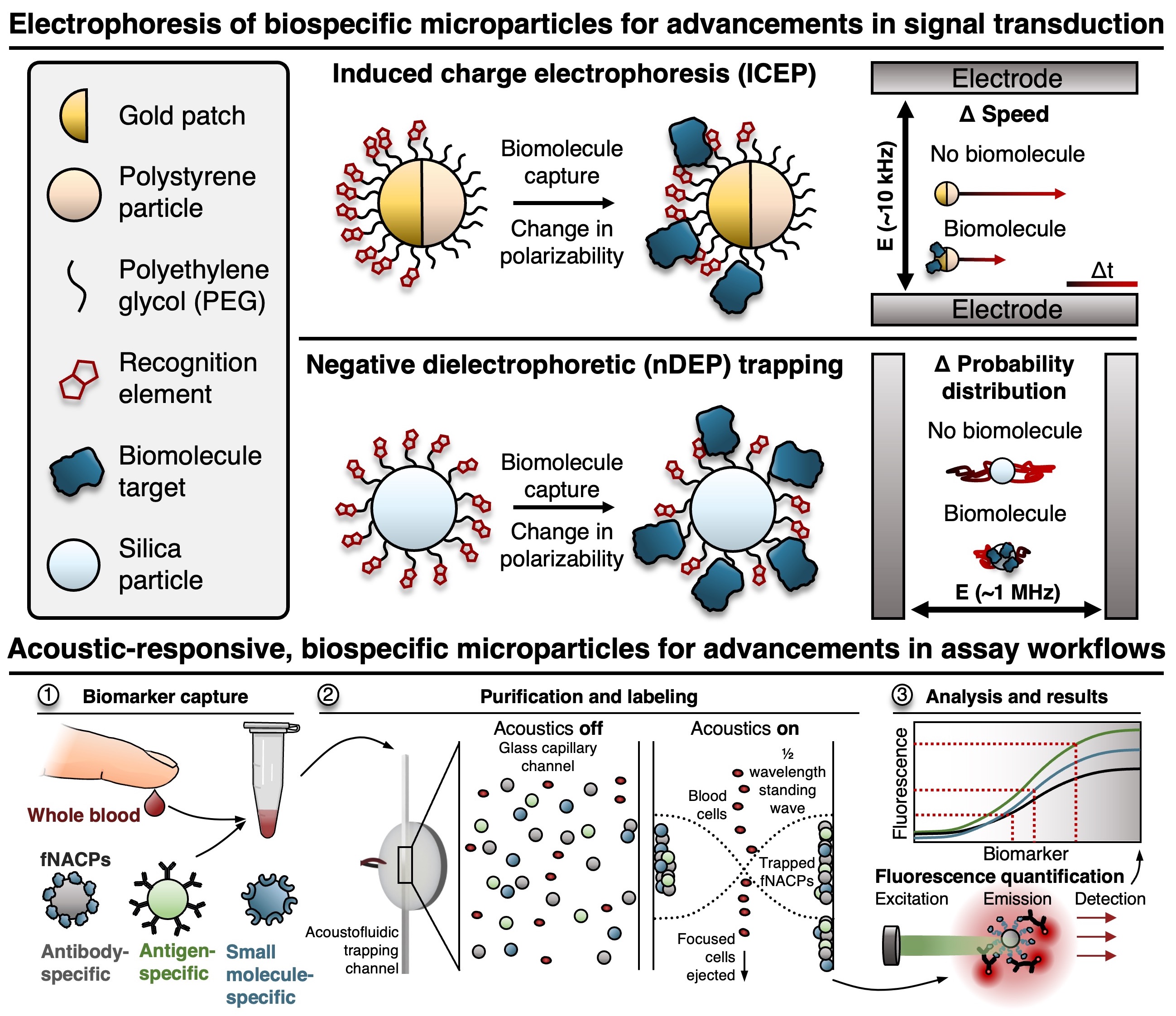 287n Particle Based Biomolecule Detection Systems For Advancements In
