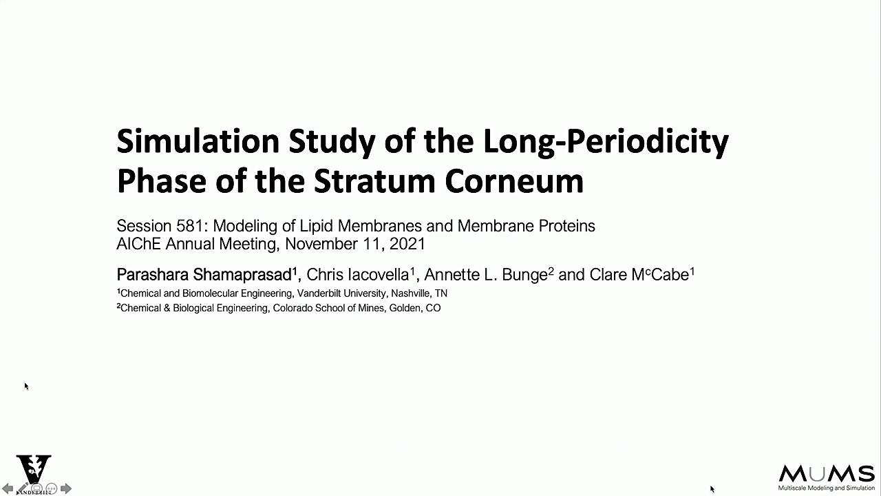 Simulation Study of the Long-Periodicity Phase of the Stratum Corneum | AIChE